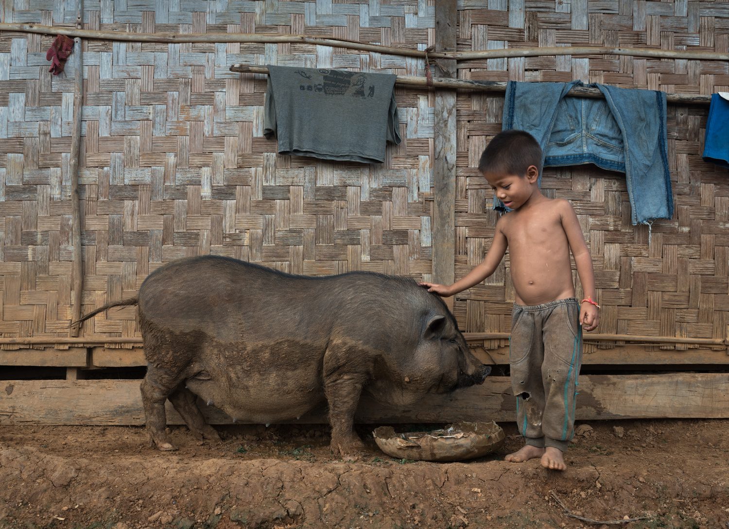 A Boy and His Pig - Professional Photographer in Cleveland