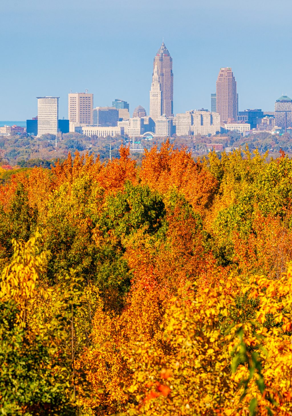 Autumn Splendor - Professional Photographer in Cleveland